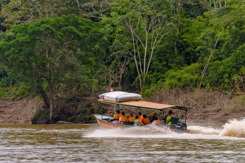 Is Manu National Park located in the Amazon Rainfores