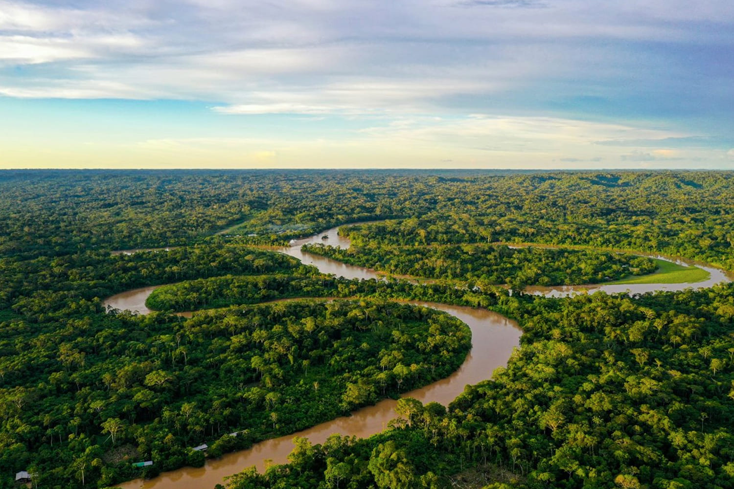 Manu National Park or Iquitos: What is the best Amazon area?