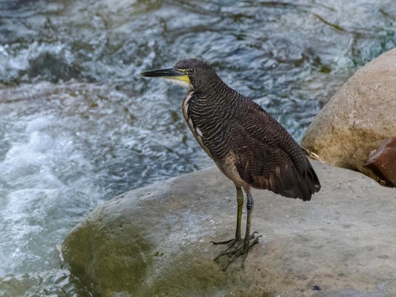 Inca Trail Express to Machu Picchu 1 Day-Inca Trail Tours
