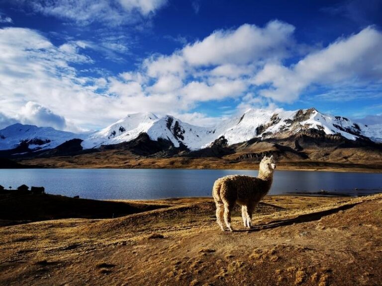 Trek to Quelccaya Glacier 2 Days-Quelccaya Ice Cap in Peru