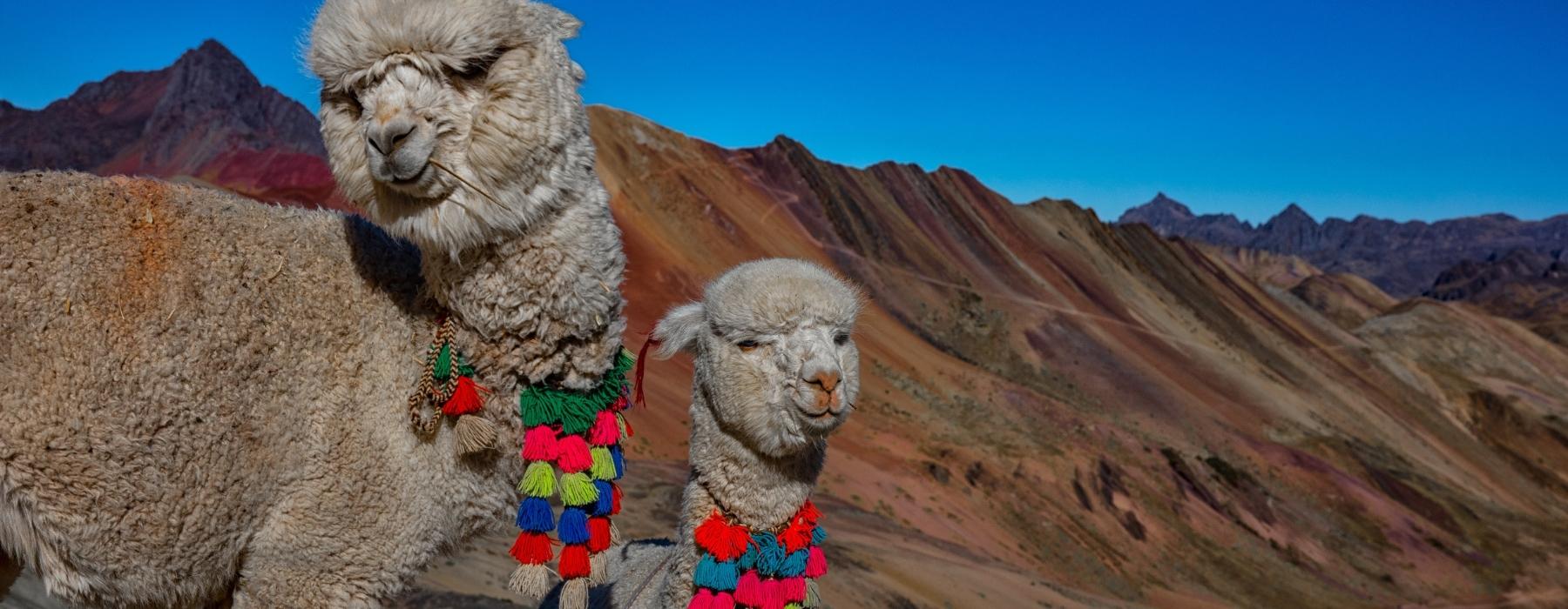 Wanderung zum Vinicunca regenbogen berg in Peru 1 Tag
